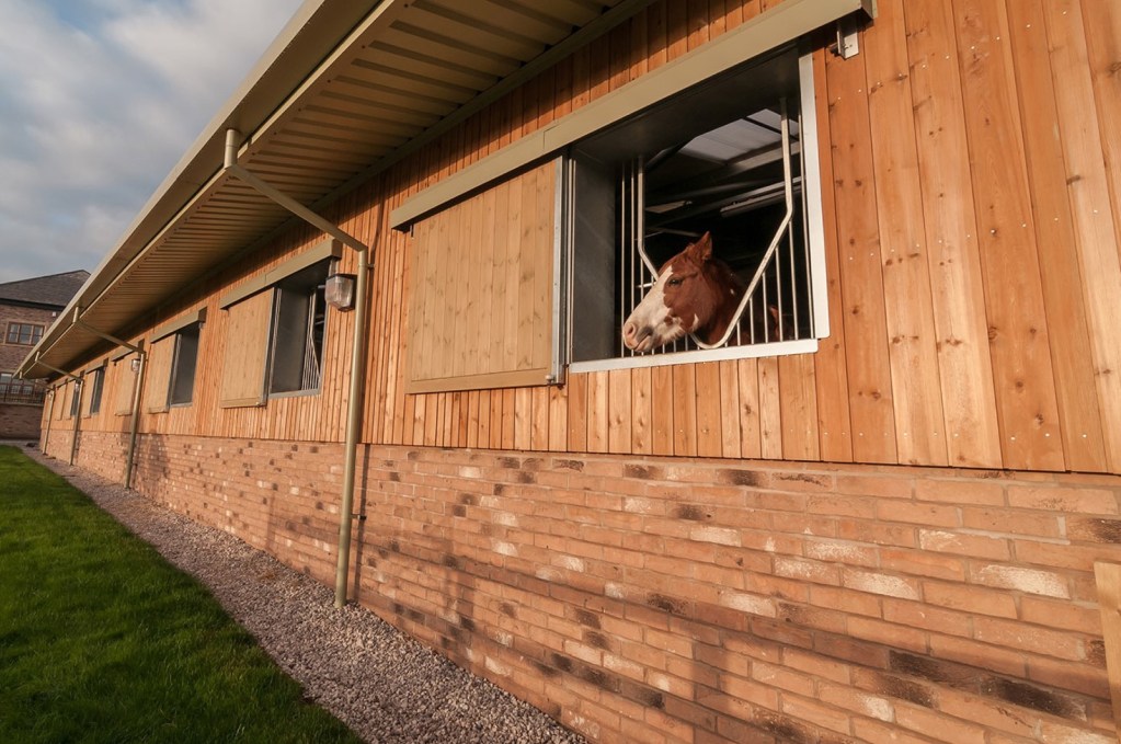 Gallery - Thompson House Equine Vets